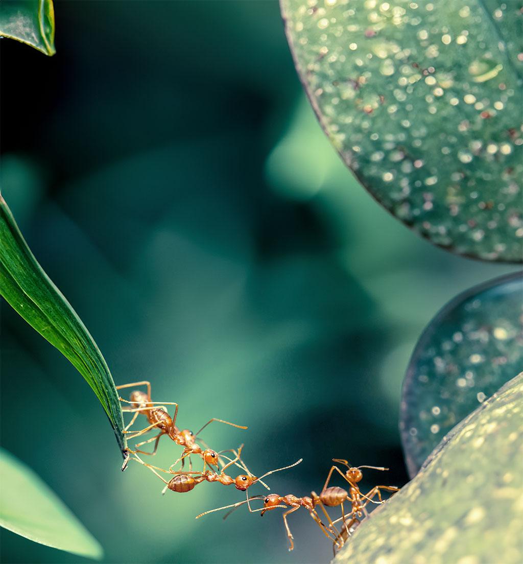 Home [imap-institut.de]